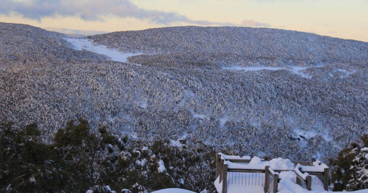 Mt Baw Baw Alpine Resort | Visit Gippsland