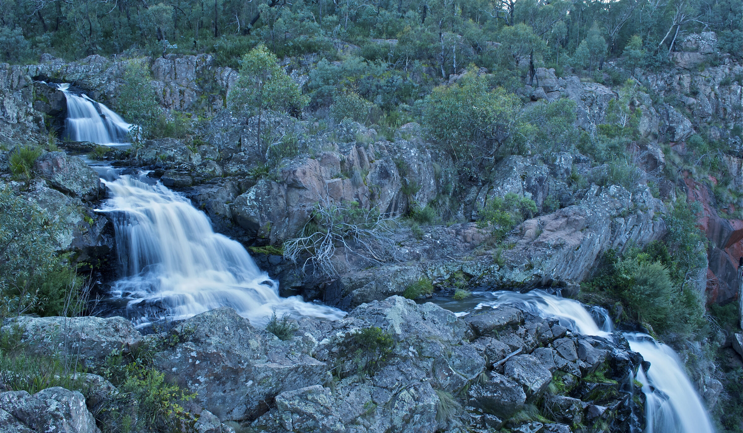 Snowy River | Visit Gippsland