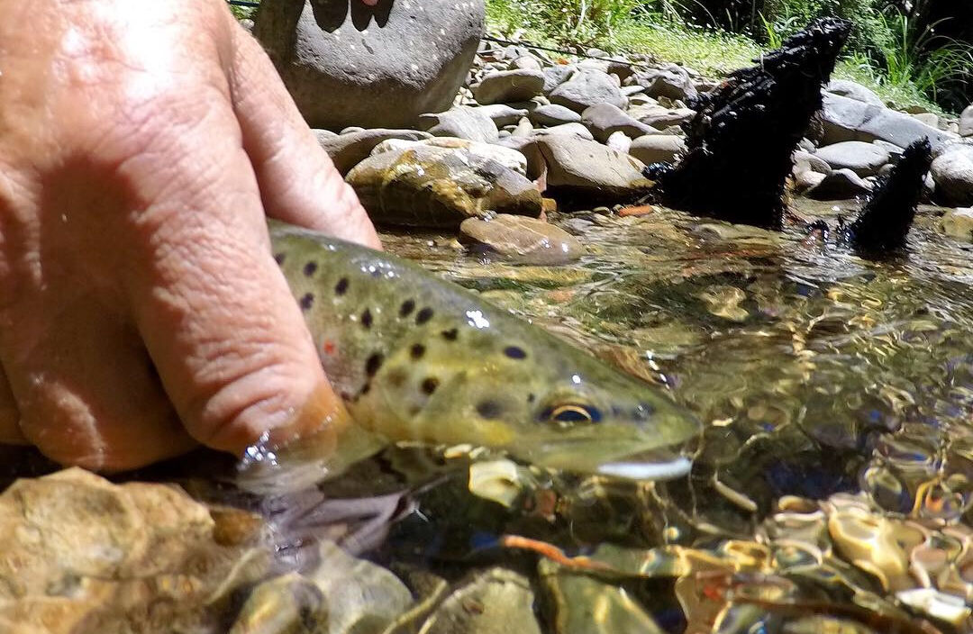 Bemm River | Visit Gippsland
