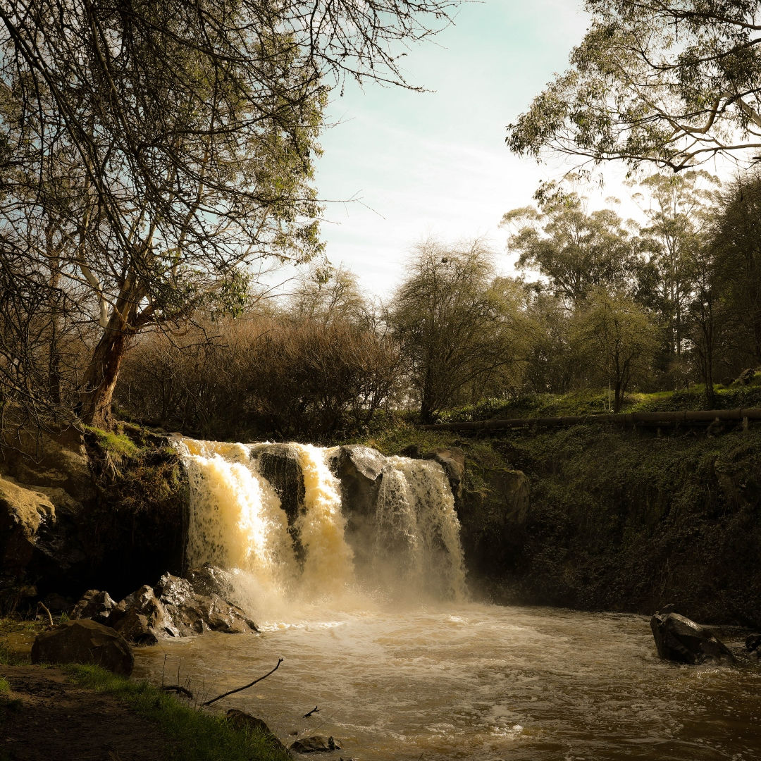 Newborough & Yallourn Travel Guide: Where to Eat,… | Visit Gippsland