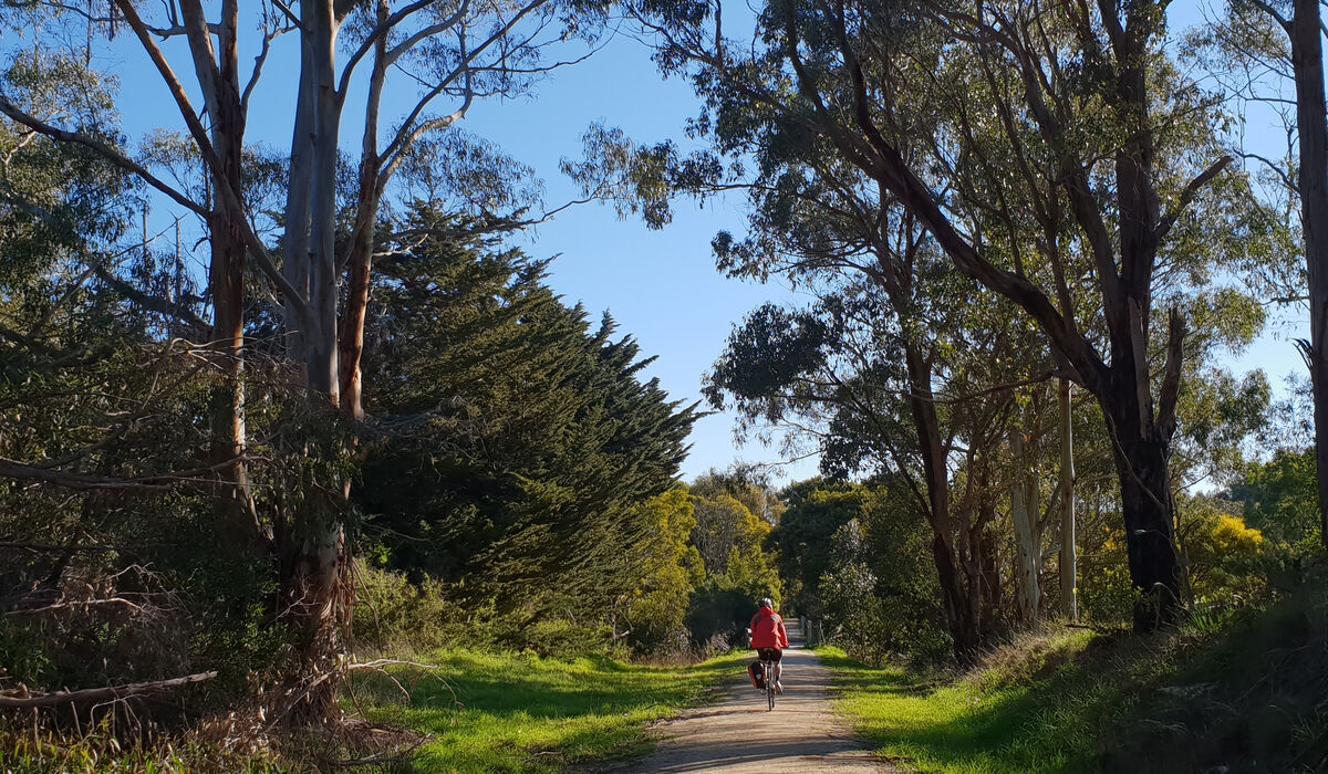 Tarra Trail | Visit Gippsland