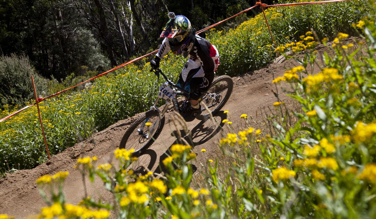 Mt Baw Baw: Adventures All Year | Visit Gippsland