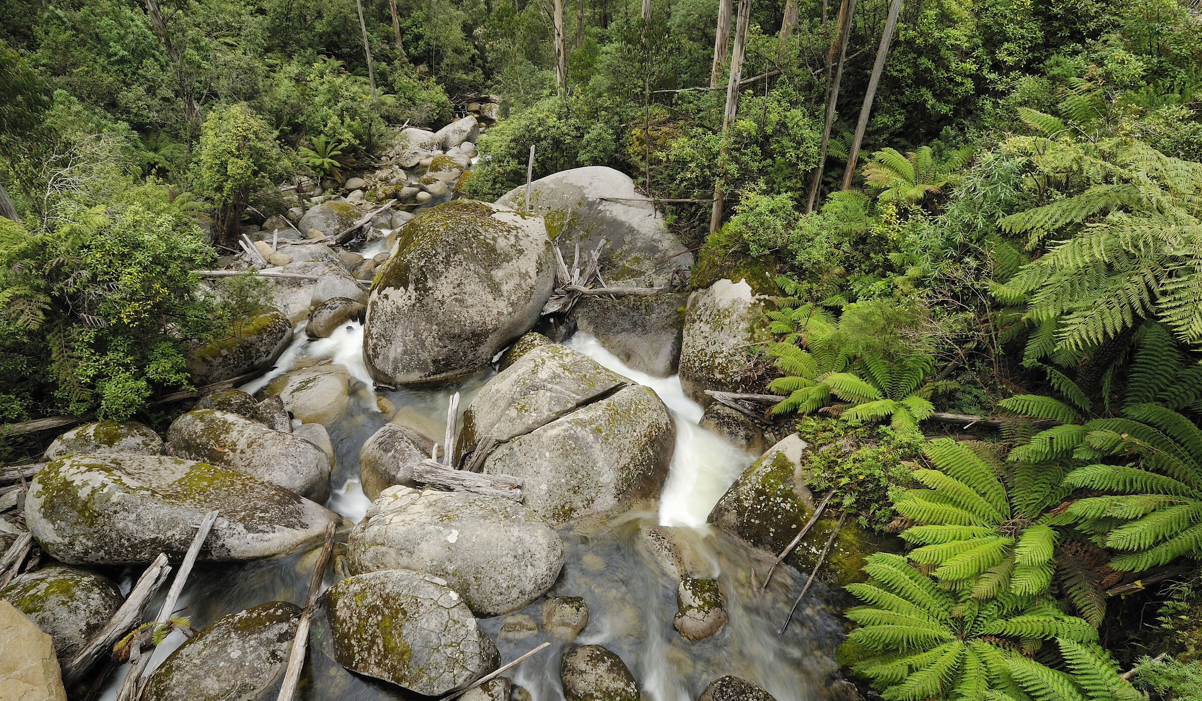 Baw Baw National Park | Visit Gippsland