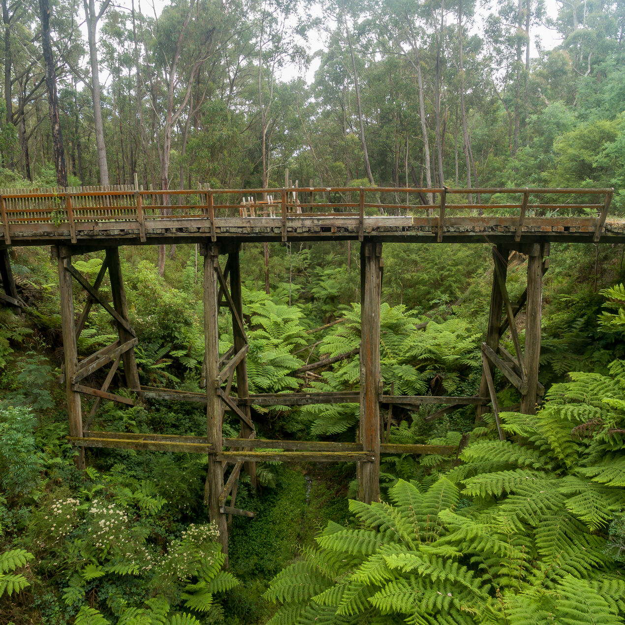 Neerim South Travel Guide: Where to Eat, Stay and… | Visit Gippsland