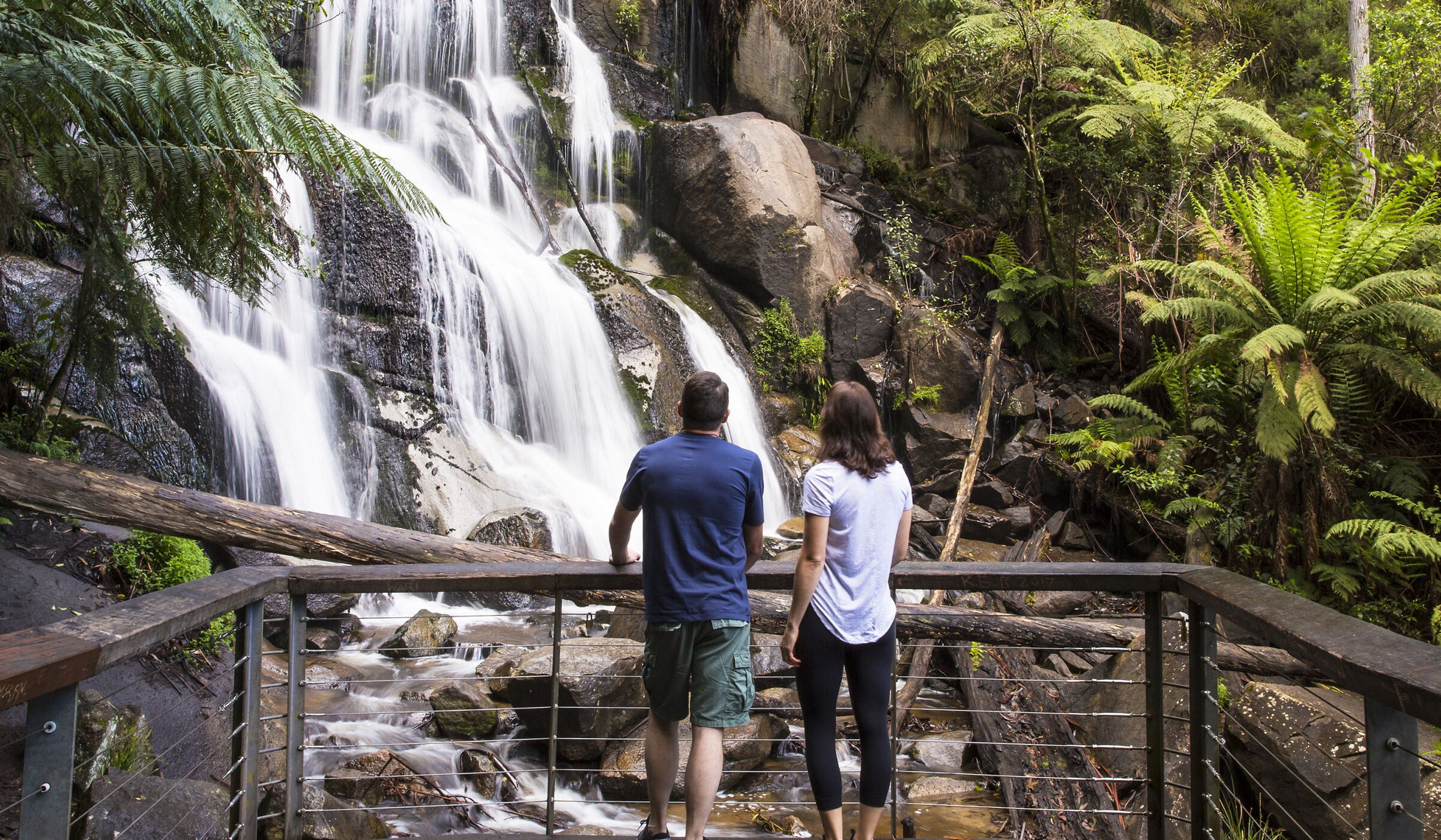 48 Hours Around Noojee | Visit Gippsland