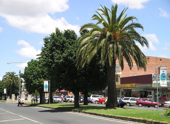 Yarram Historical Society | Visit Gippsland