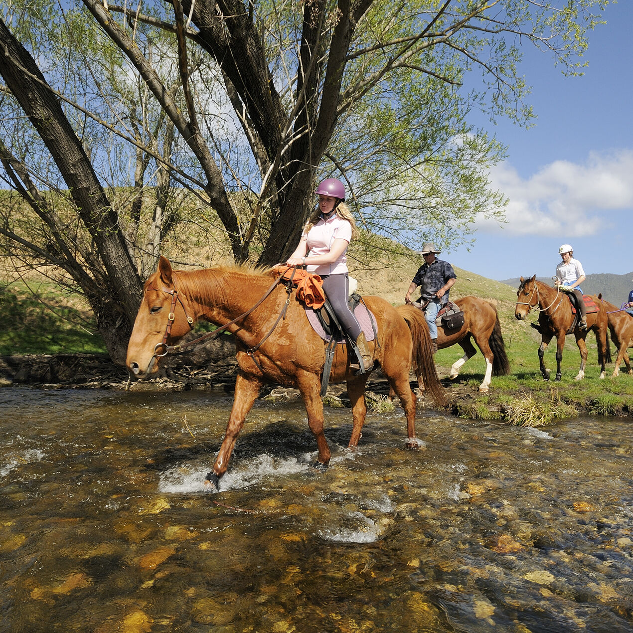 Omeo, Gippsland, Vic | Accommodation, Hotel, Motel,… | Visit Gippsland