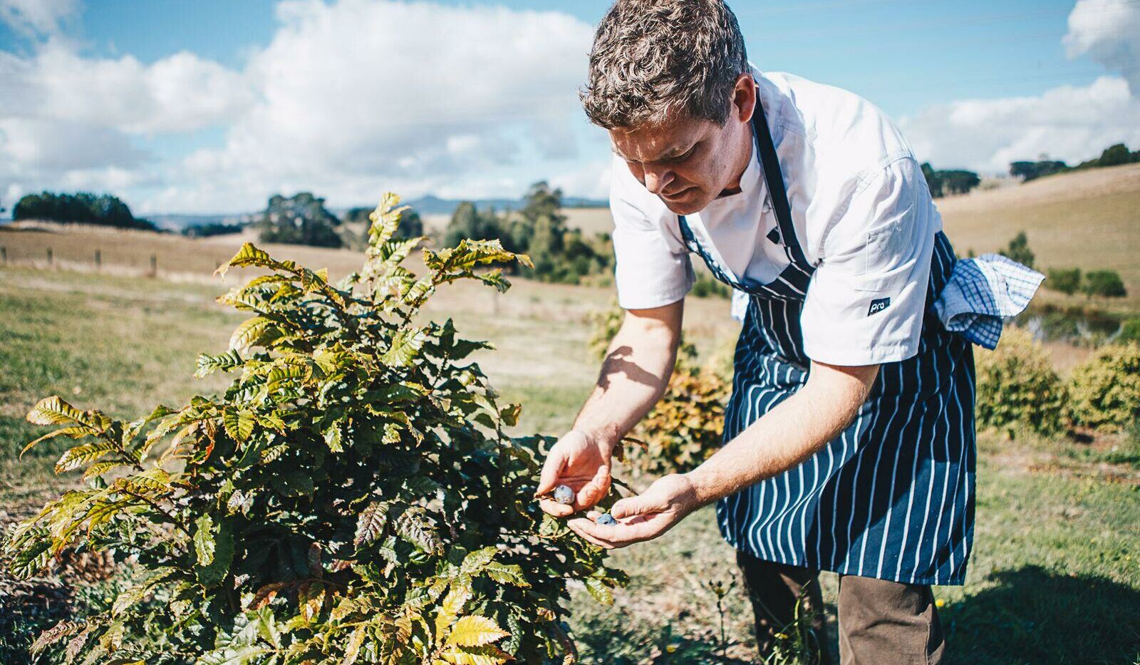 Hogget Kitchen: Hatted Dining at its Best | Visit Gippsland