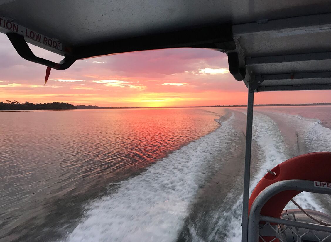 Lakes Explorer : Wildlife Tours or Water-Taxi | Visit Gippsland