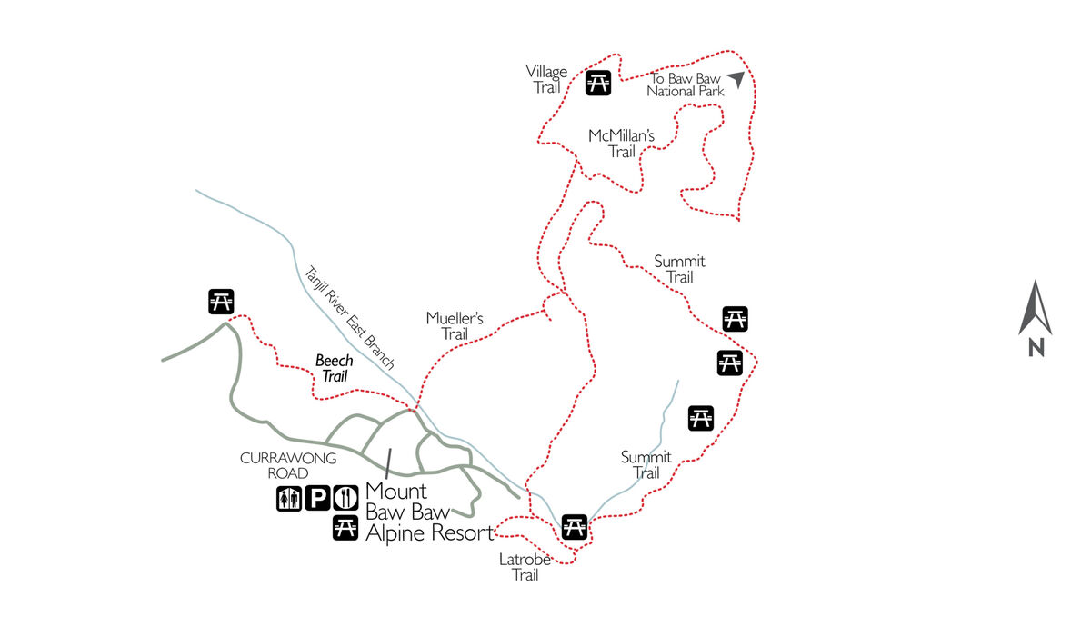Mt Baw Baw Mountain Biking Trails | Visit Gippsland