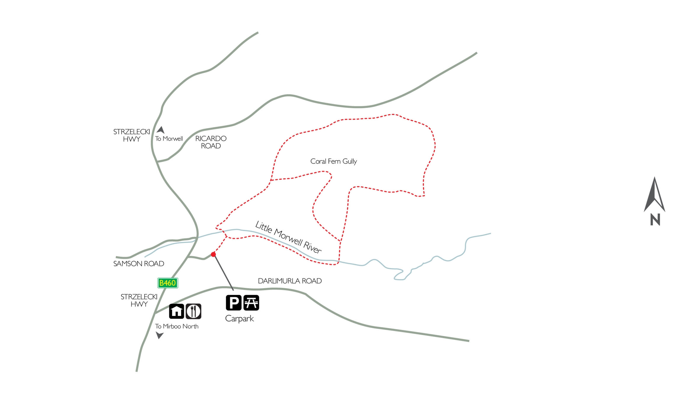 Lyrebird Forest Walk | Visit Gippsland