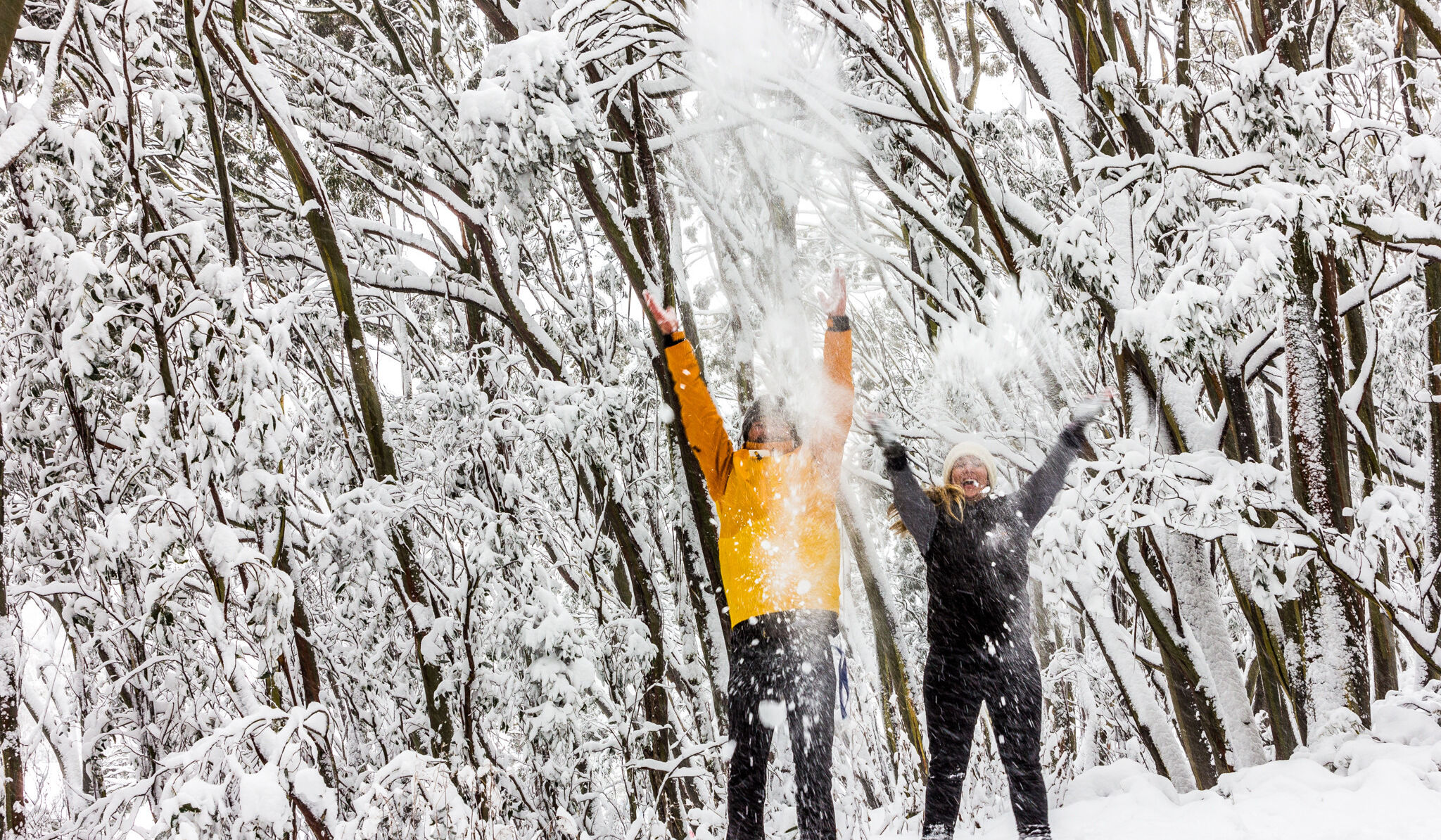 Mt Baw Baw: Adventures All Year | Visit Gippsland