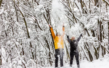Noojee, Gippsland, Vic | Pub, Trestle Bridge.… | Visit Gippsland