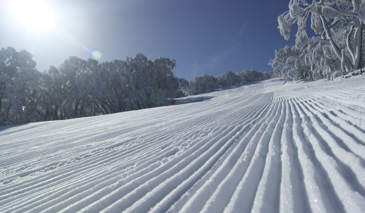Mt Baw Baw: Adventures All Year | Visit Gippsland