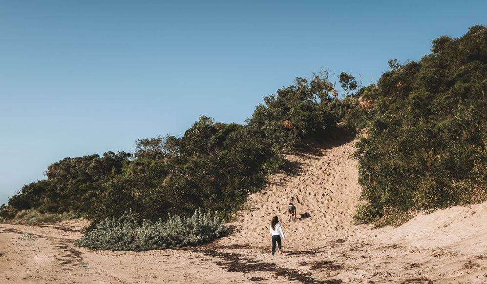 Shallow Inlet Travel Guide: Where to Eat, Stay and… | Visit Gippsland