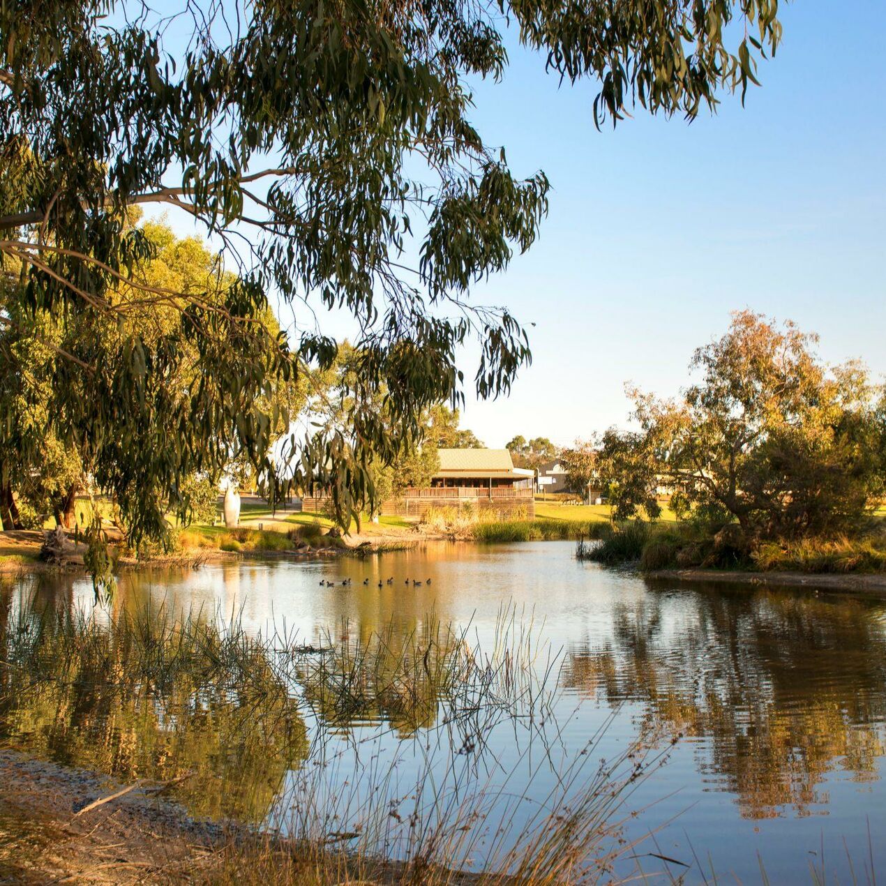 Heyfield & Cowwarr Travel Guide: Where to Eat, Stay… | Visit Gippsland