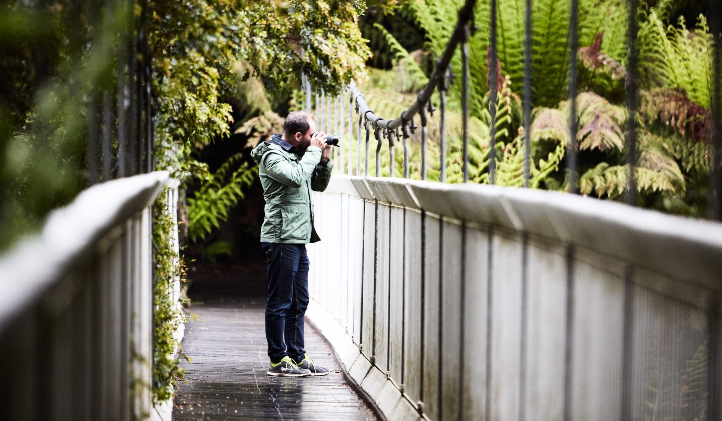 Tarra Bulga National Park | Visit Gippsland