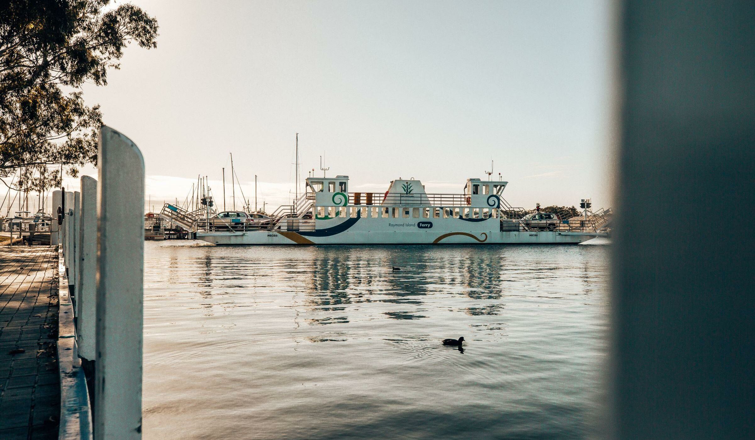 Raymond Island Travel Guide: Where to Eat, Stay and… | Visit Gippsland