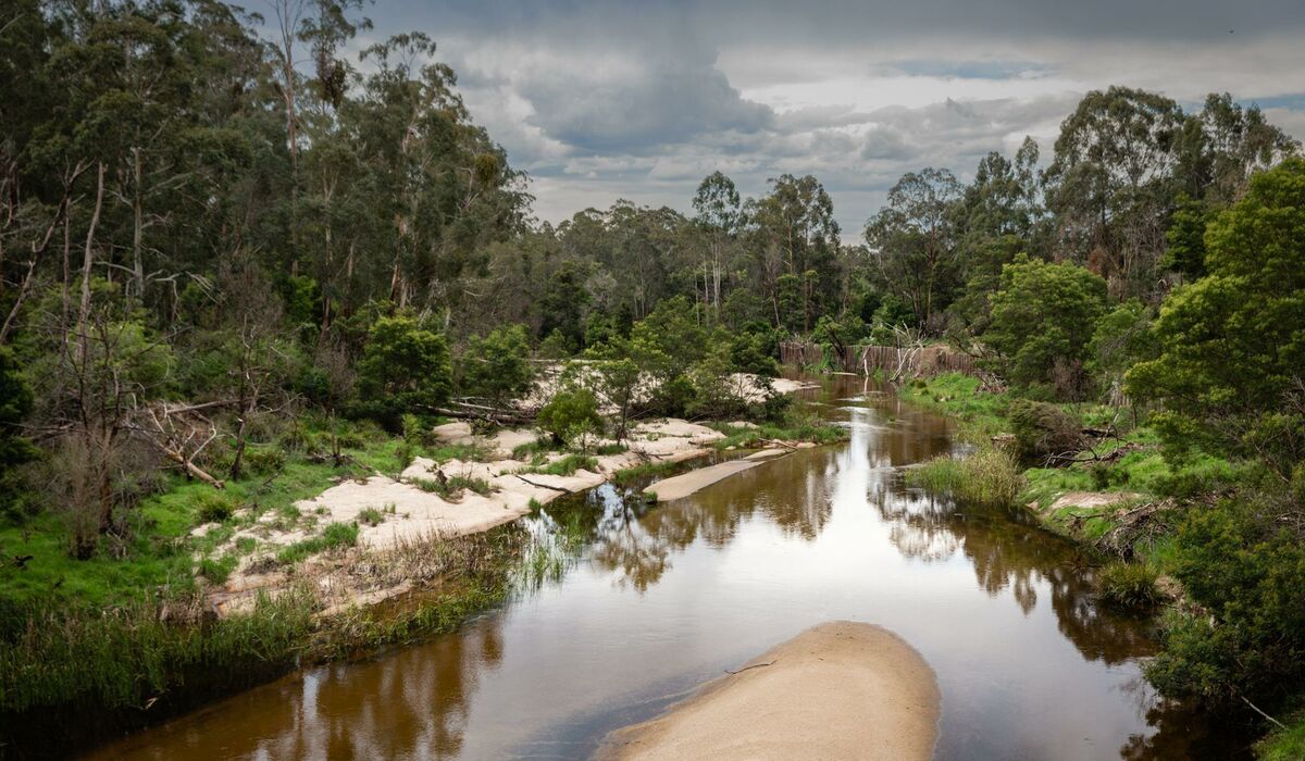 Cann River Travel Guide: Where to Eat, Stay and Play | Visit Gippsland