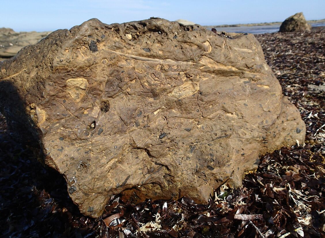 Bunurong Coast Education | Visit Gippsland