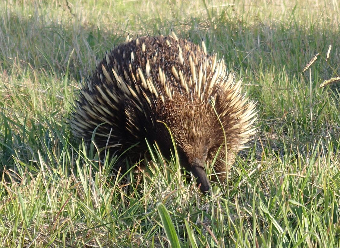 Bunurong Coast Education | Visit Gippsland
