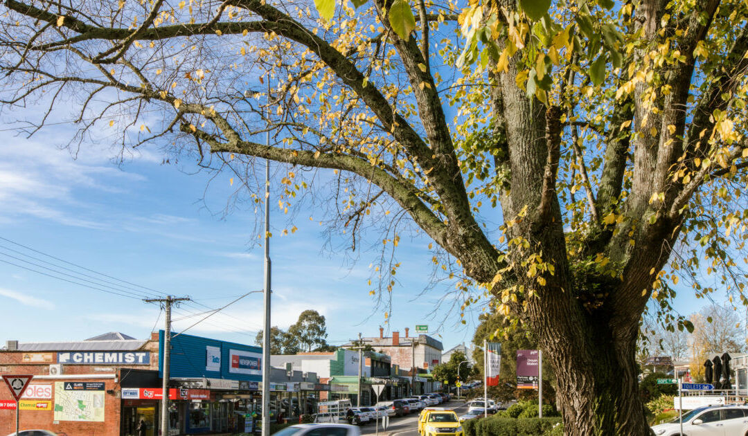 Drouin Travel Guide: Where to Eat, Stay & Play | Visit Gippsland