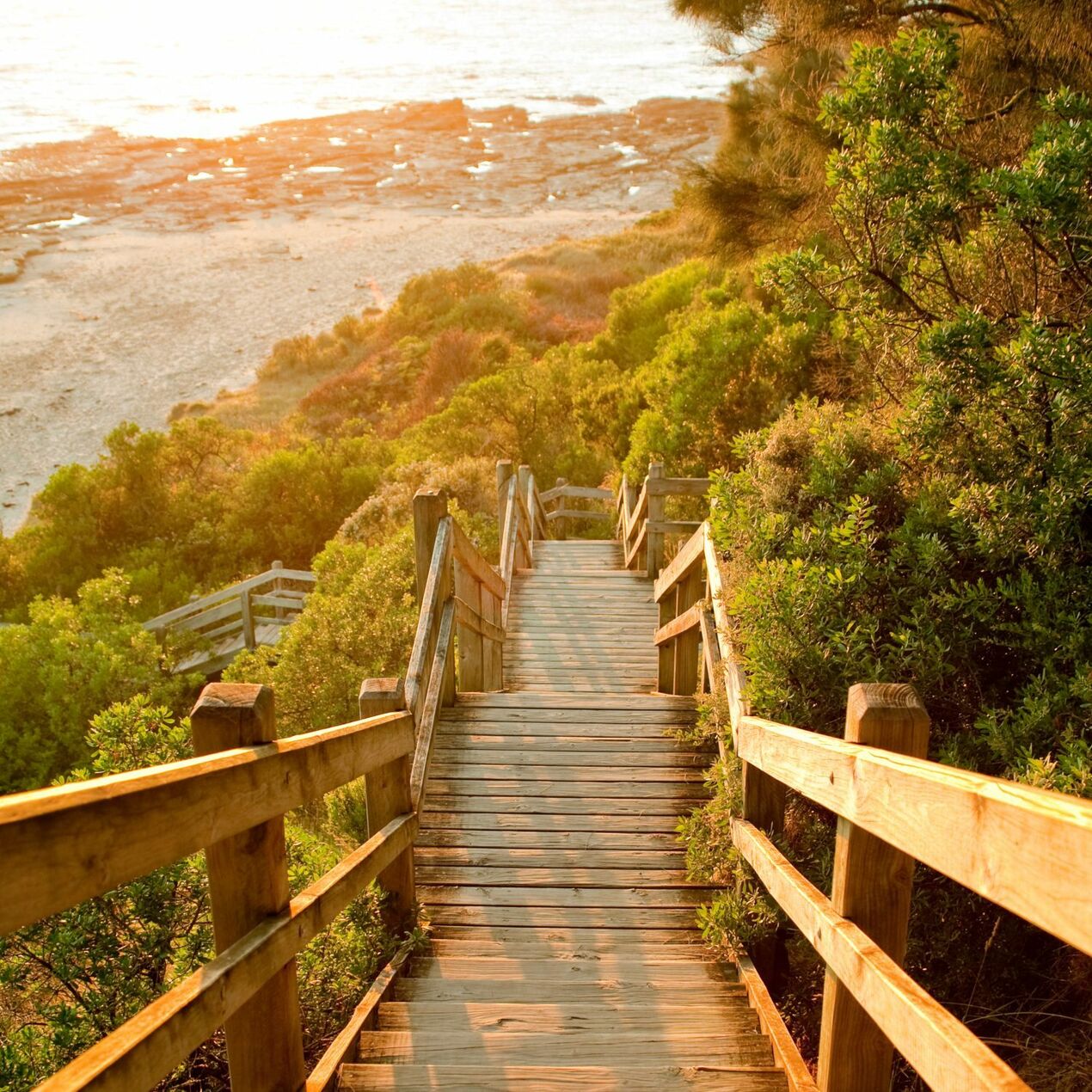 Shack Bay | Visit Gippsland