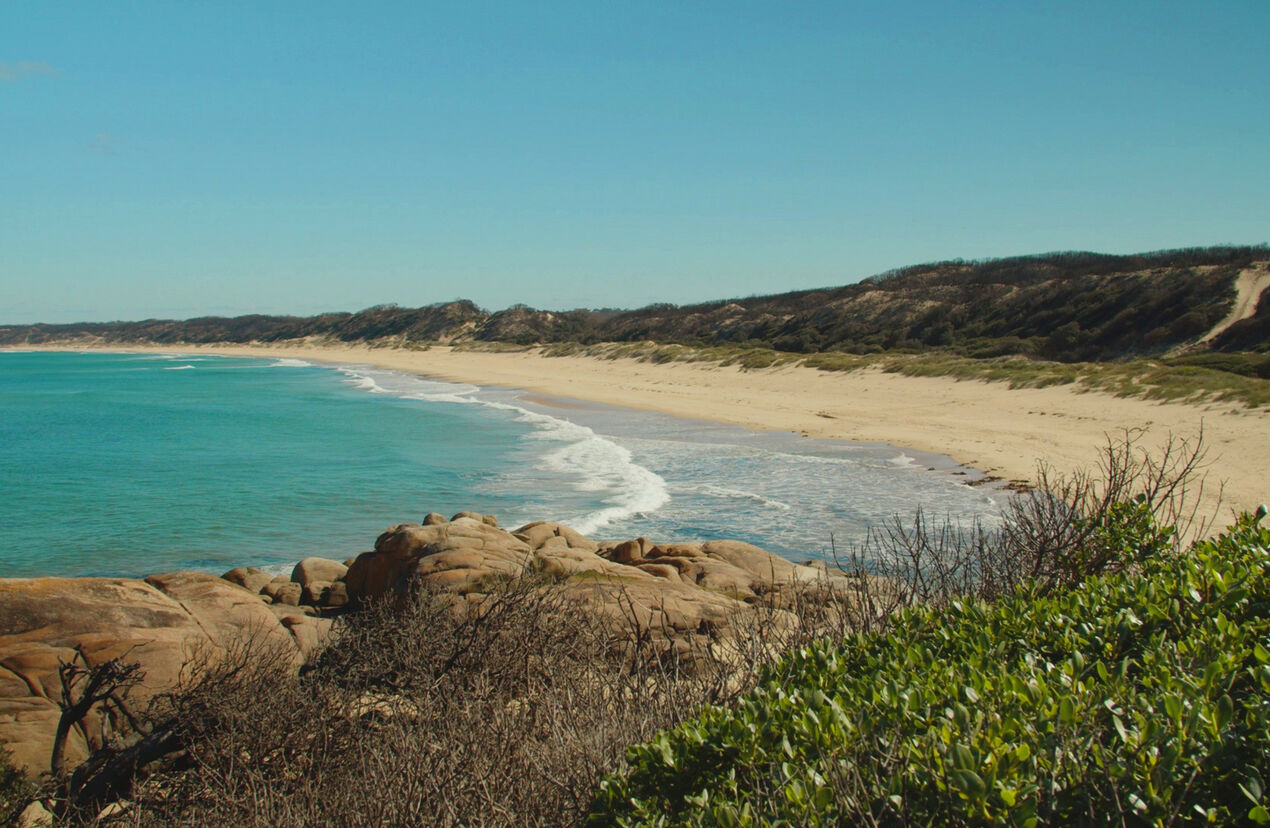 Cape Conran Travel Guide: Where to Eat, Stay and… | Visit Gippsland