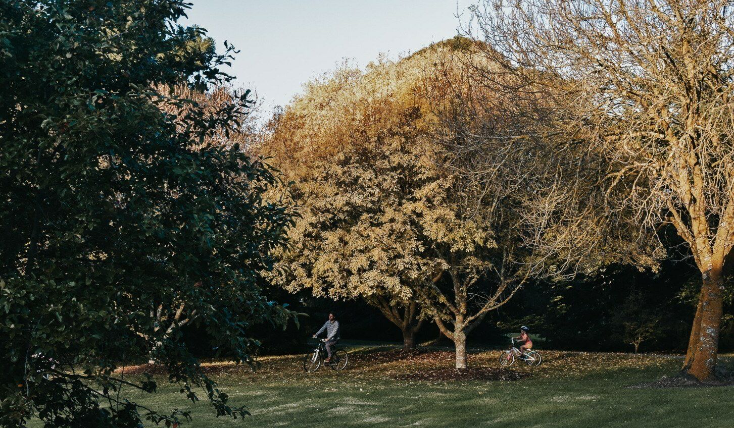 Mirboo North Travel Guide: Where to Eat, Stay and… | Visit Gippsland