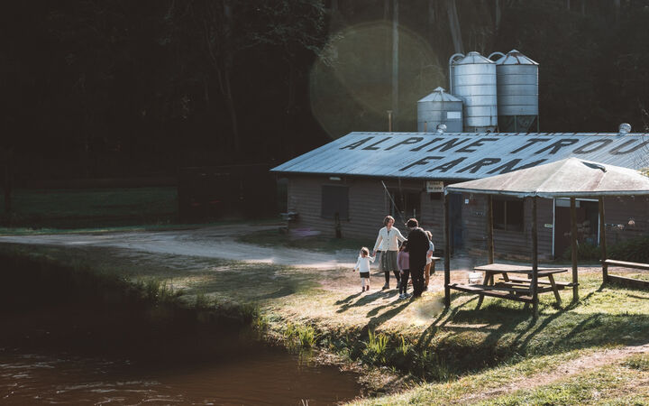 Ada Tree Rainforest Walk | Visit Gippsland