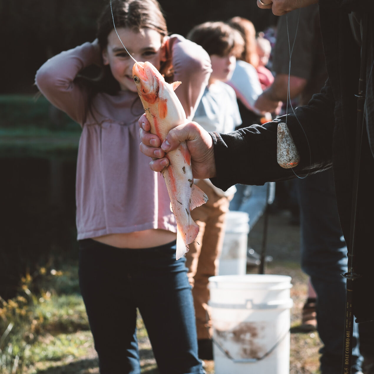 Noojee, Gippsland, Vic | Pub, Trestle Bridge.… | Visit Gippsland