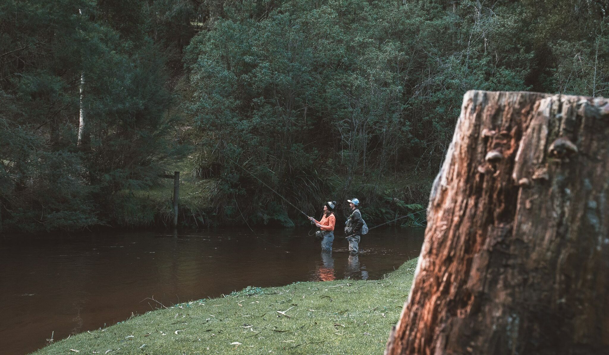 Noojee, Gippsland, Vic | Pub, Trestle Bridge.… | Visit Gippsland