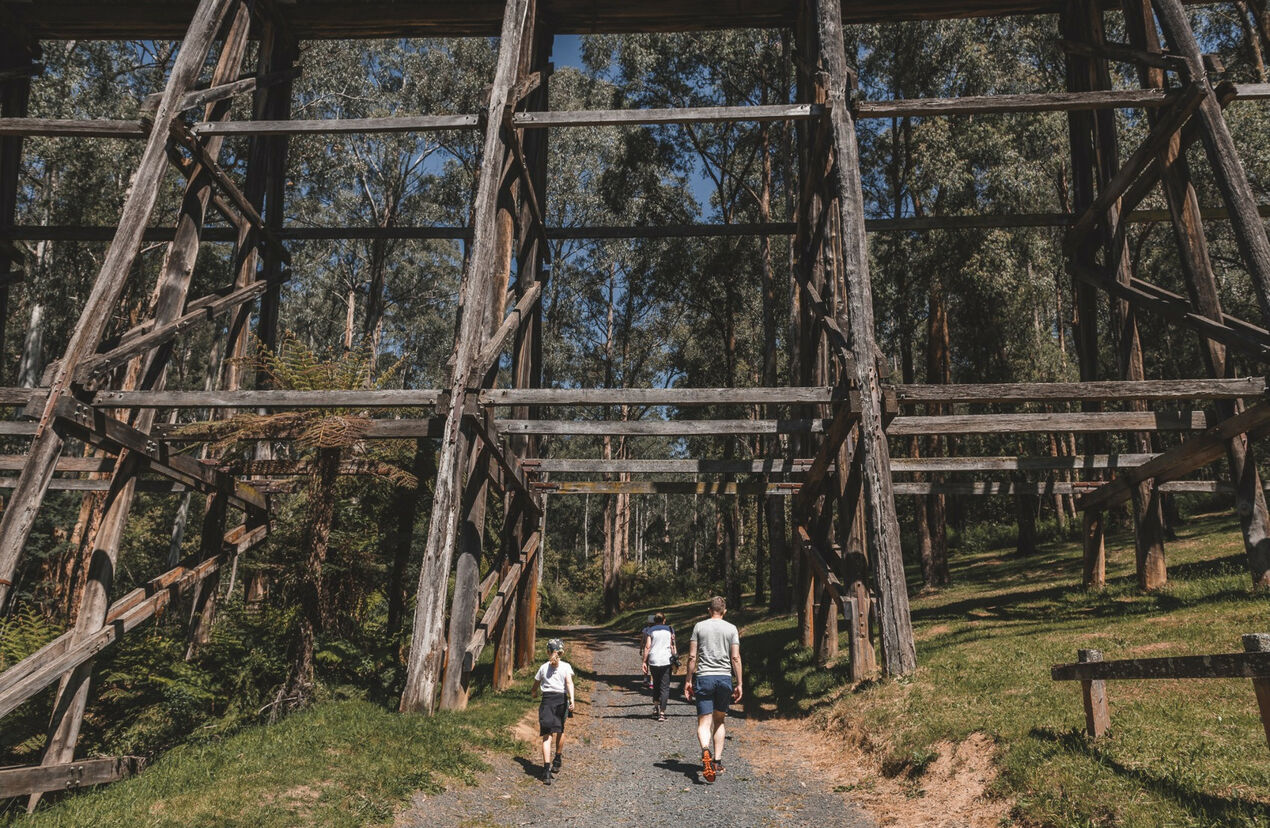 48 Hours Around Noojee | Visit Gippsland