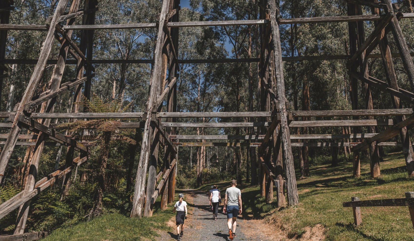 Noojee Trestle Bridge | Visit Gippsland