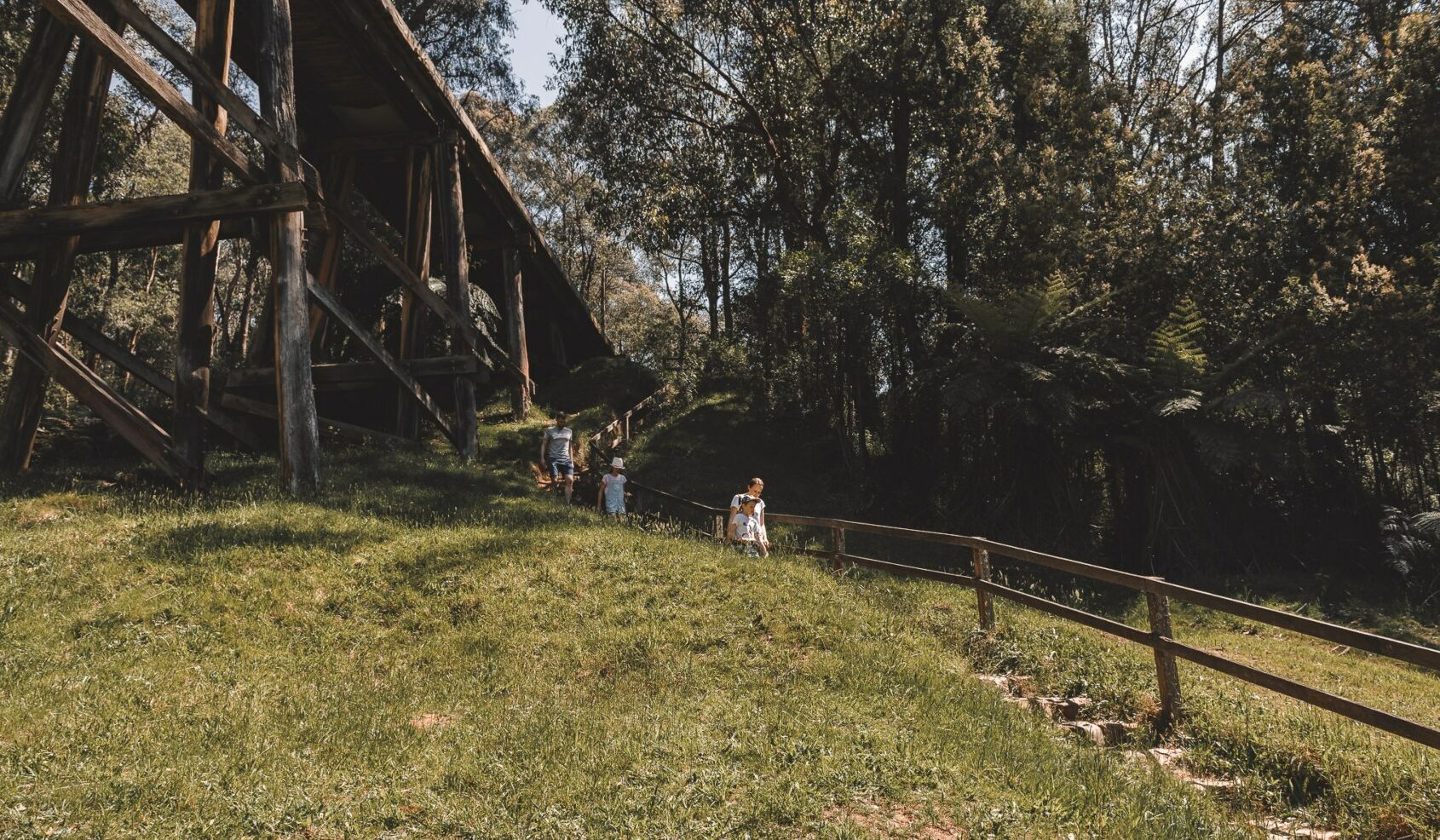 Noojee Trestle Bridge | Visit Gippsland