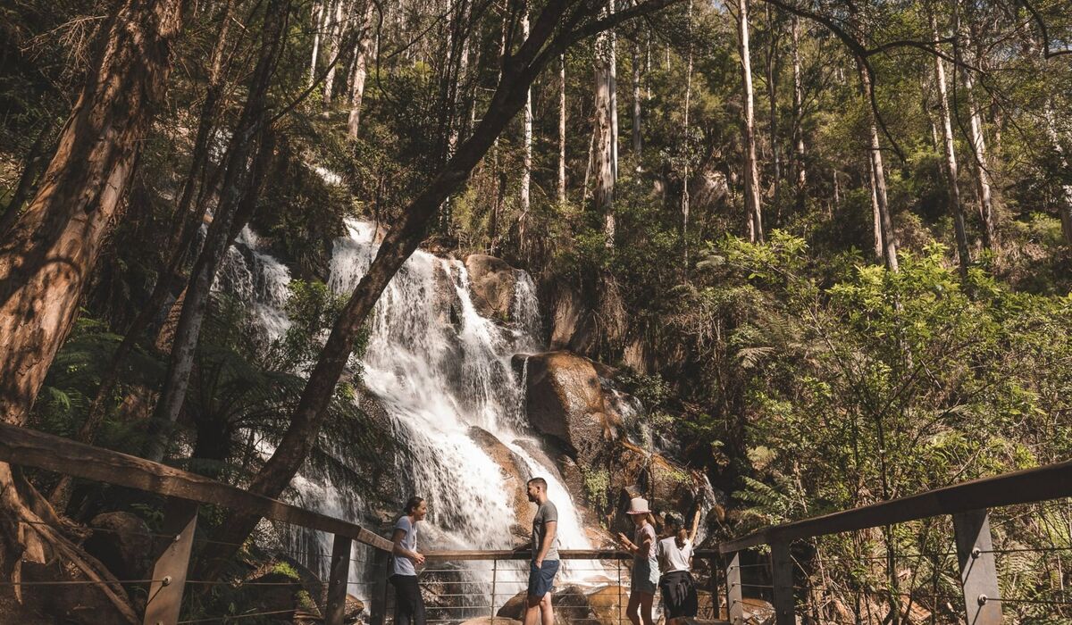 Toorongo Falls | Visit Gippsland