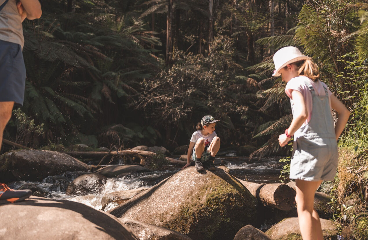 Toorongo Falls | Visit Gippsland
