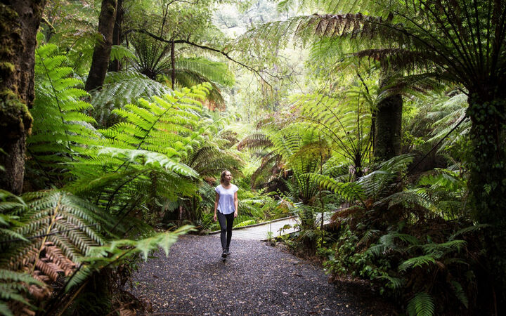 Traralgon, Gippsland, Vic | Accommodation,… | Visit Gippsland