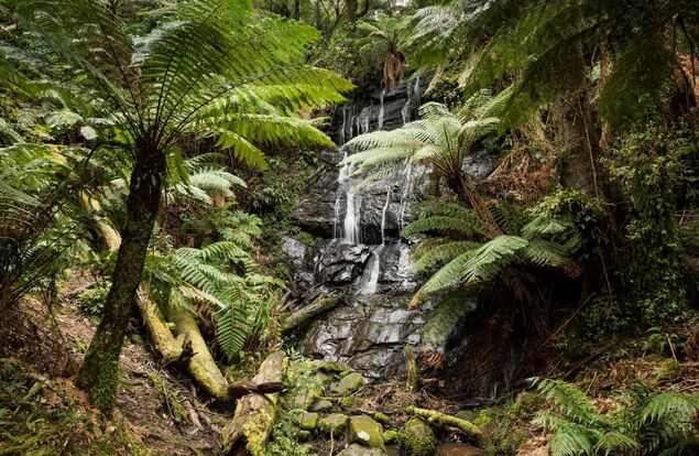 Chasing Waterfalls | Visit Gippsland