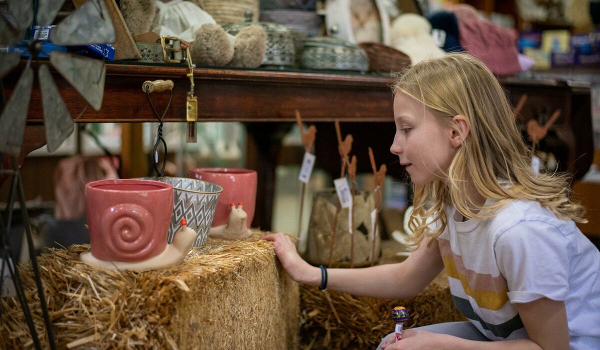 Nowa Nowa Travel Guide: Where to Eat, Stay and Play | Visit Gippsland