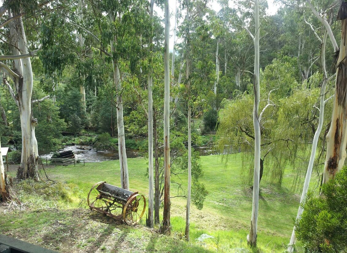 Noojee Hotel | Visit Gippsland