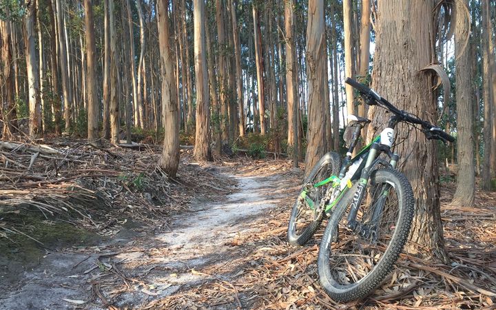 Great Southern Drive | Visit Gippsland