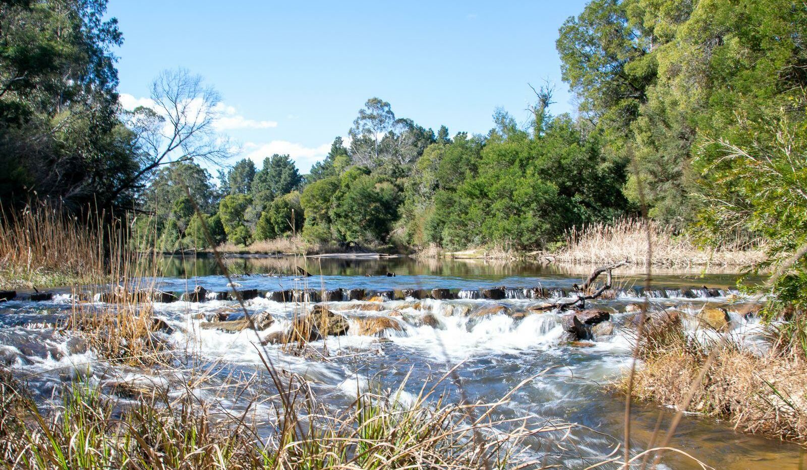 Cann River Travel Guide: Where to Eat, Stay and Play | Visit Gippsland
