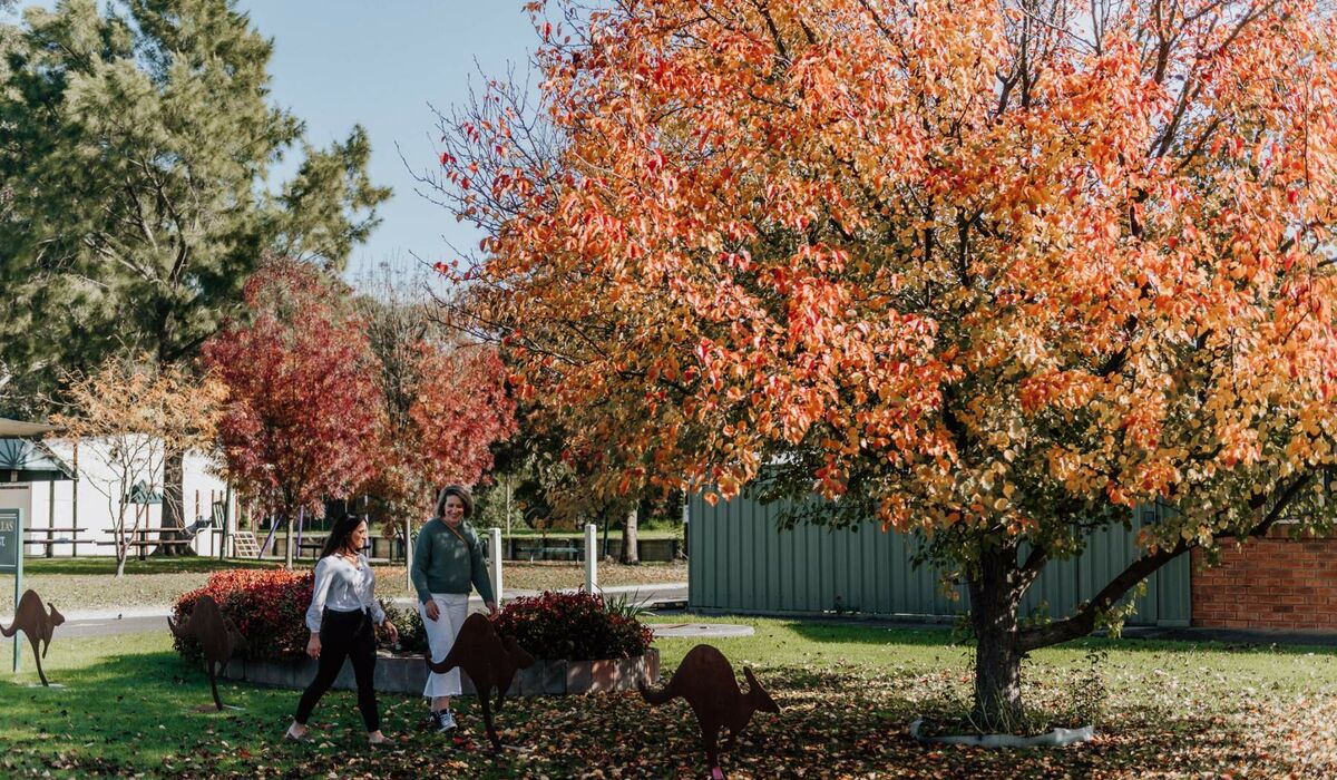 Yinnar & Churchill Travel Guide: Where to Eat, Stay… | Visit Gippsland