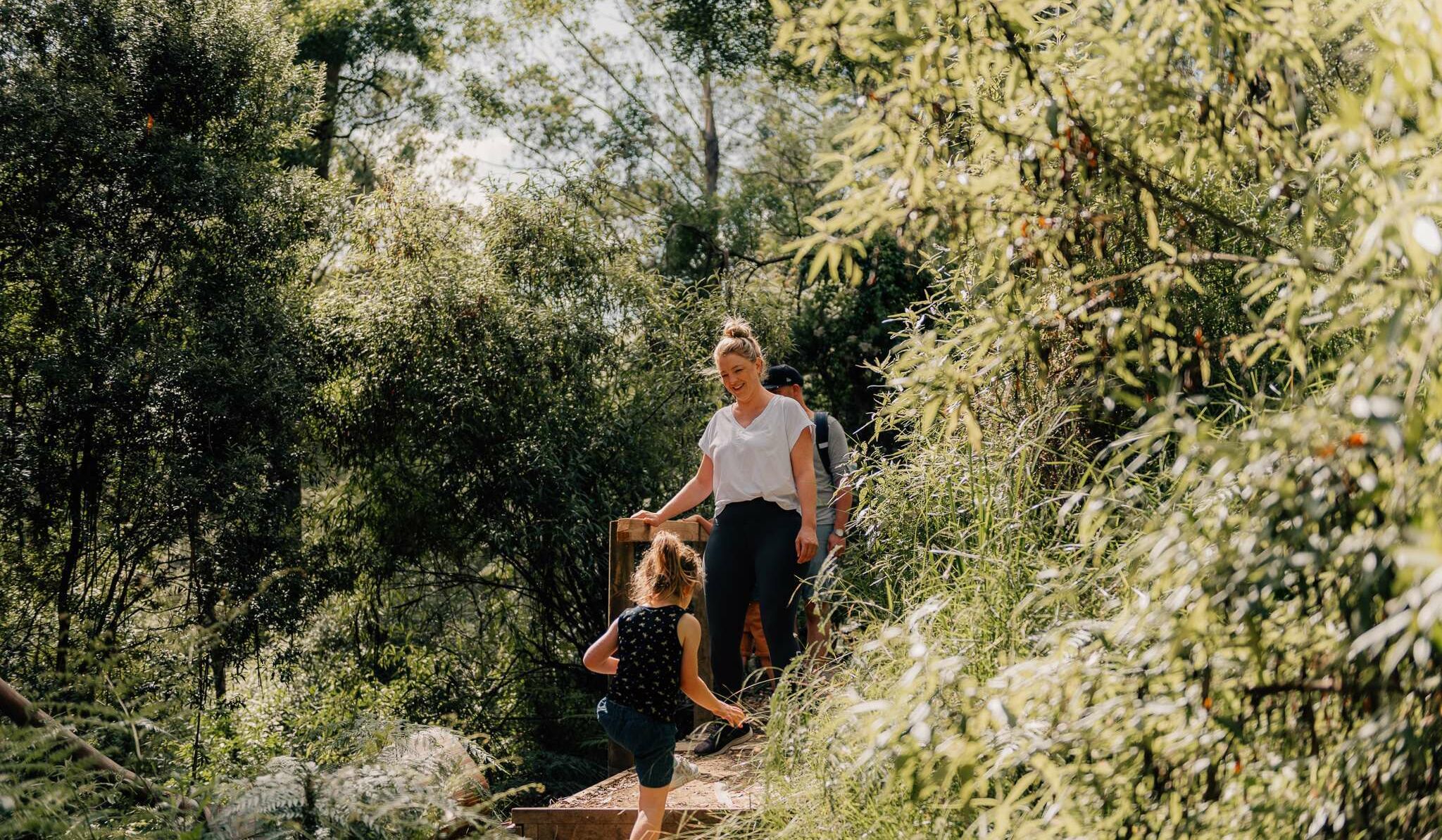 Morwell River Falls Reserve | Visit Gippsland