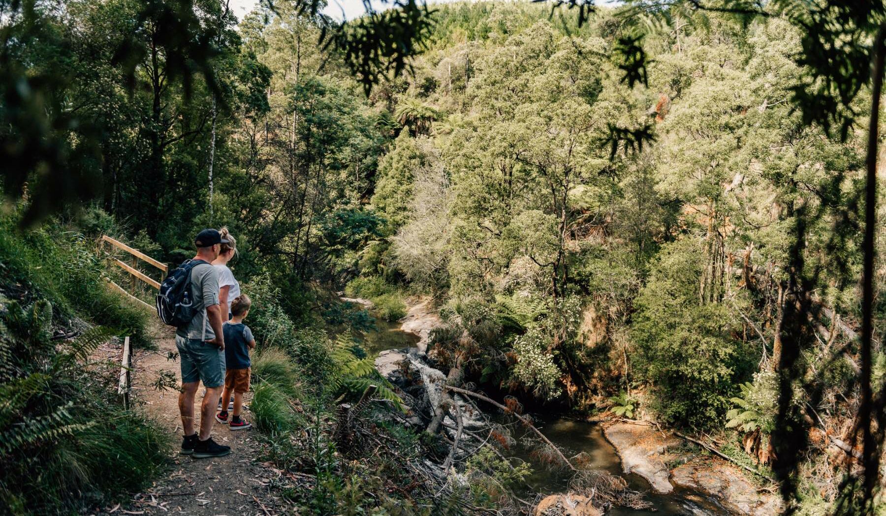 Morwell River Falls Reserve | Visit Gippsland