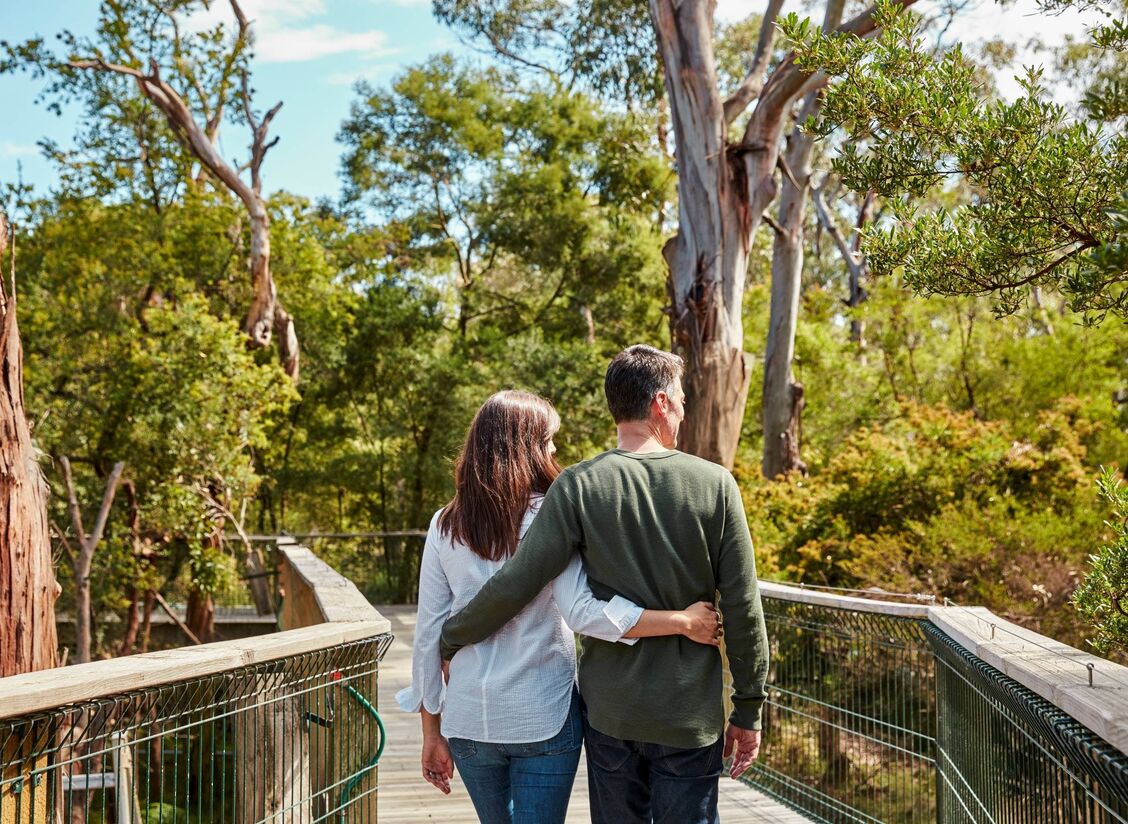 Koala Conservation Reserve | Visit Gippsland