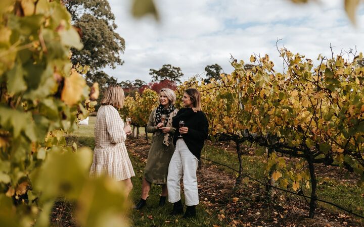 Central Gippsland Travel Guide: Where to Eat, Stay… | Visit Gippsland