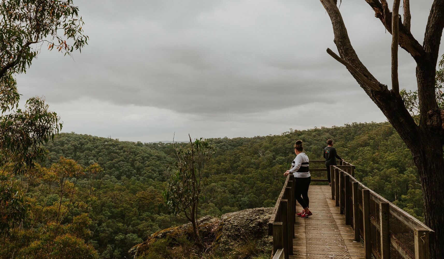 Tyers Park (Petersons Lookout) | Visit Gippsland