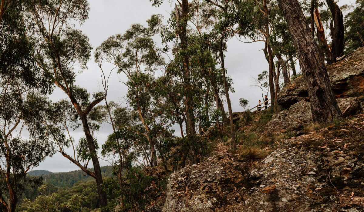 Tyers Park (Petersons Lookout) | Visit Gippsland
